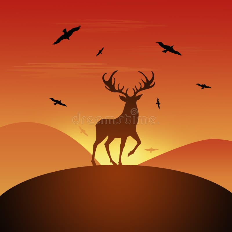 Deer at sunset stock illustration. Illustration of animal - 46360847