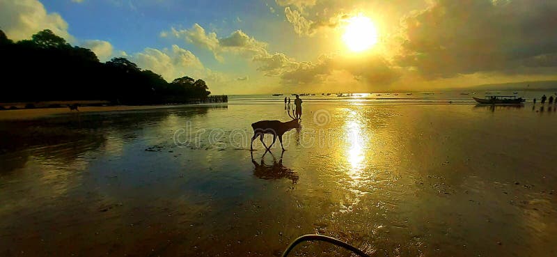 Sunset in Pangandaran Beach at Kampung Turis Stock Image - Image of ...
