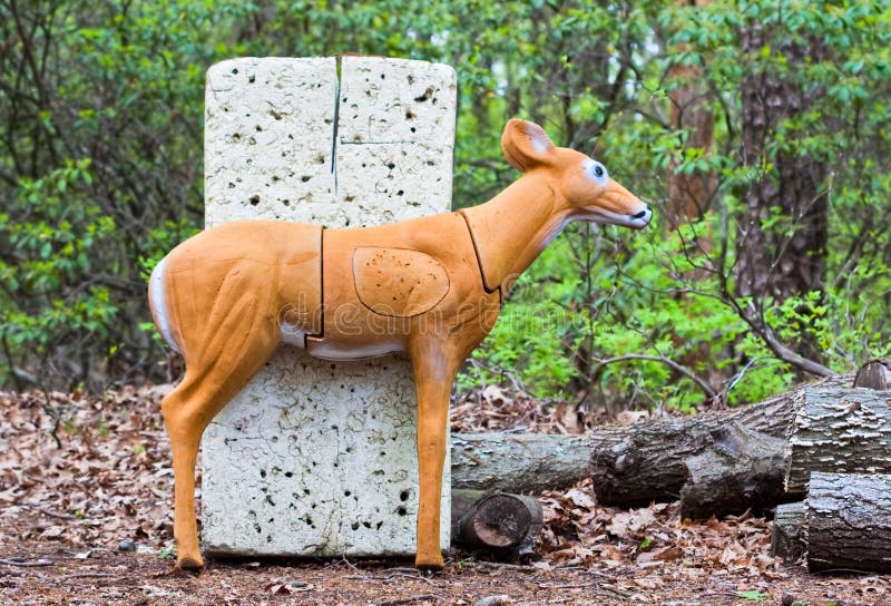 Deer Target stock photo. Image of shooting, sports, targets - 9555588