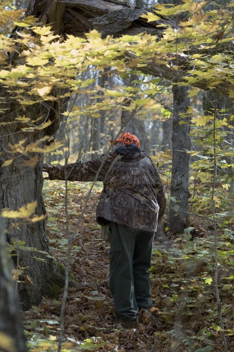 1,365 Deer Track Stock Photos - Free & Royalty-Free Stock Photos from ...