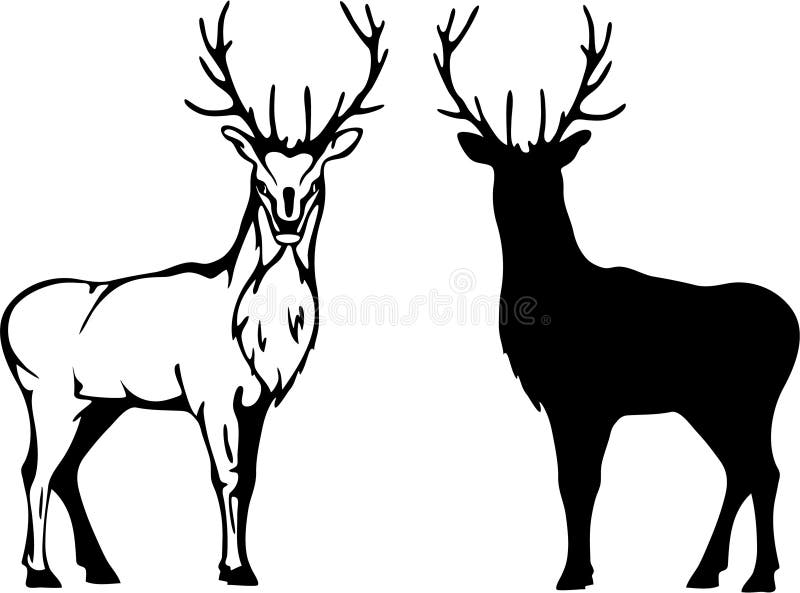 Deer vector stock vector. Illustration of vector, wild - 14410744