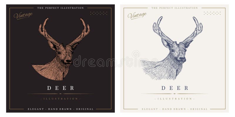 Deer Vintage Retro Sketch Illustration Stock Vector - Illustration of ...
