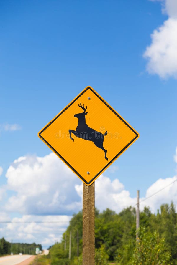 490 Deer Warning Sign Stock Photos - Free & Royalty-Free Stock Photos ...