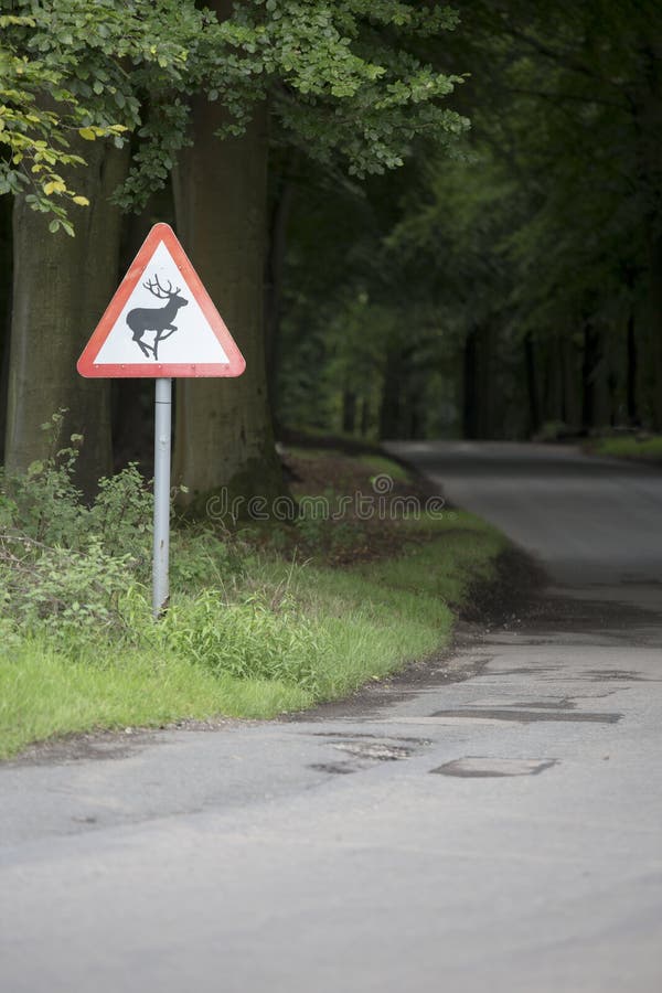 Deer Warning Road Sign Countryside Uk Stock Photo - Image of forest ...