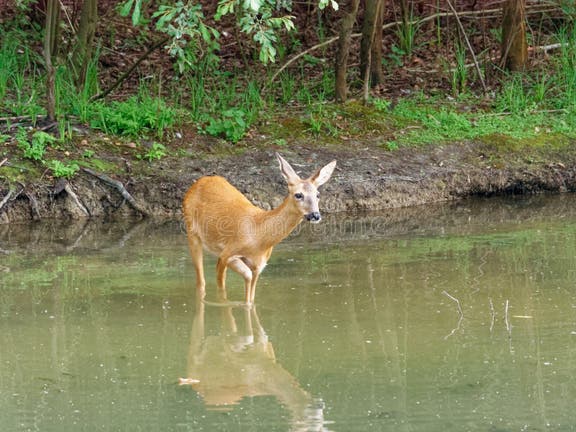 Bhkjj Bfhhj Bfhhk Bhhkk Hhhhj Ffhjj Ffhgj Hfhjj Ffhgj Ffhjj Ffhgj Ffhgg ...