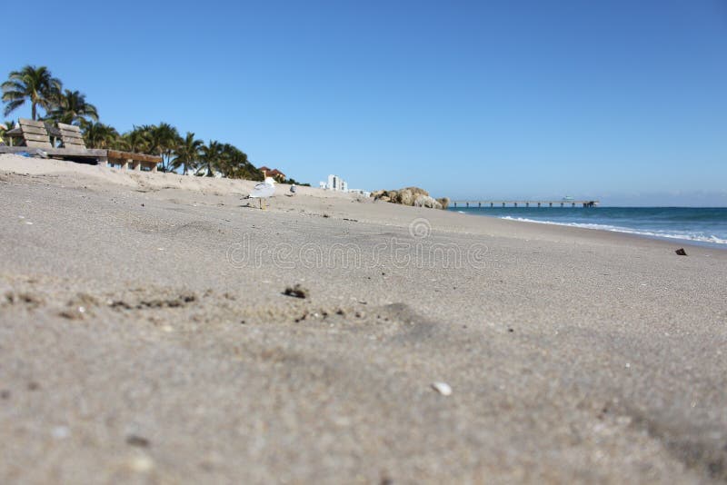 Deerfield beach stock photo. Image of florida, sunset - 95875164
