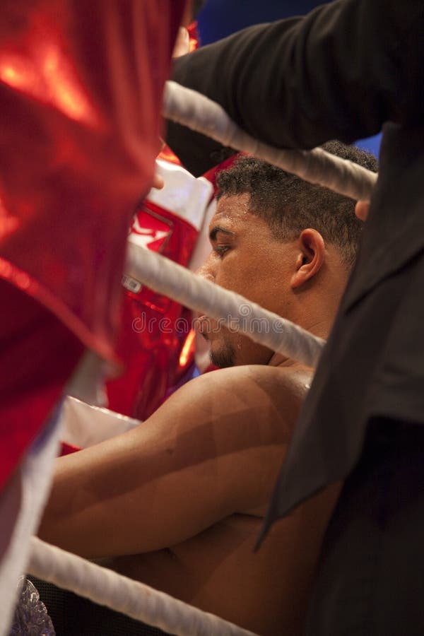 Defeated boxer editorial photo. Image of knocked, fight - 18874736