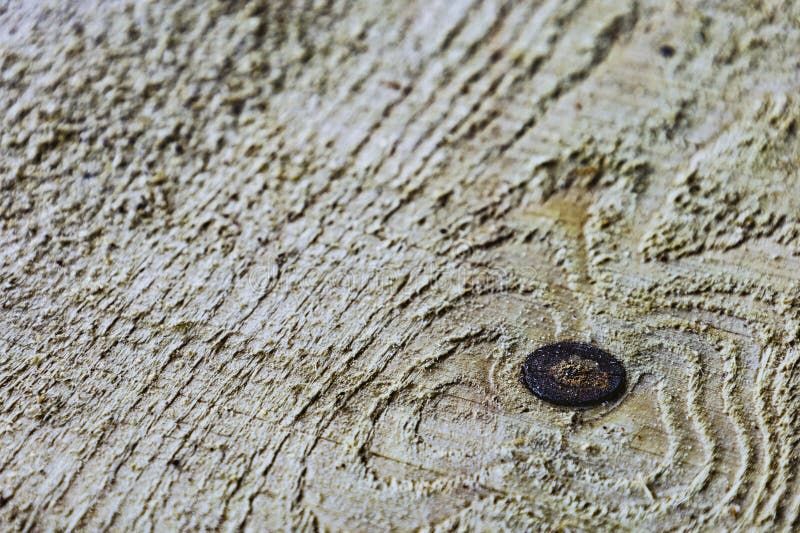 Defect in spruce wood stock image. Image of softwood - 335653753