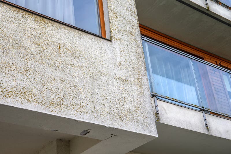 Defects in the Facade of the Building. Moss on the Wall Stock Photo ...