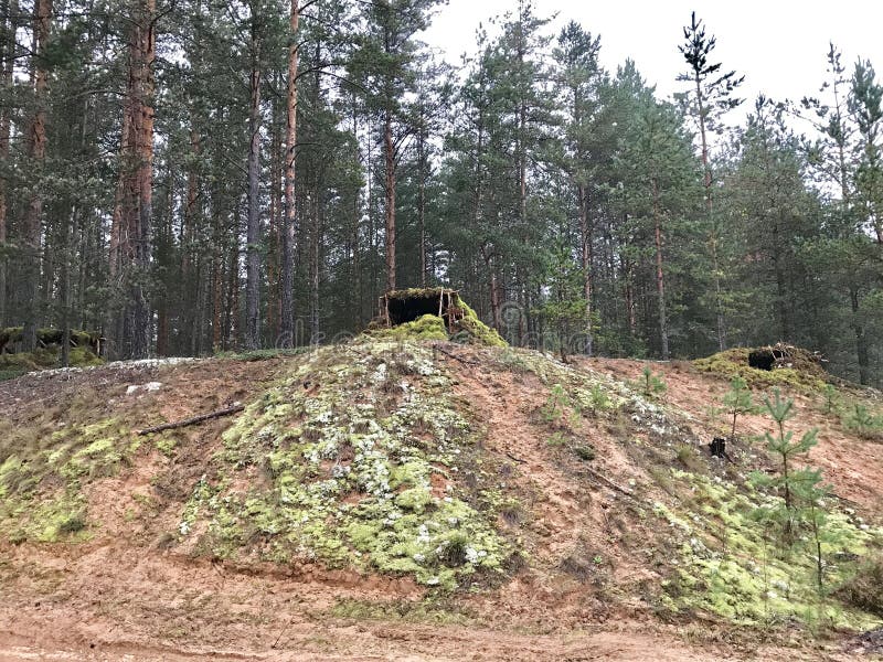 Defensive Fortifications in the Pine Forest Military Training Ground ...