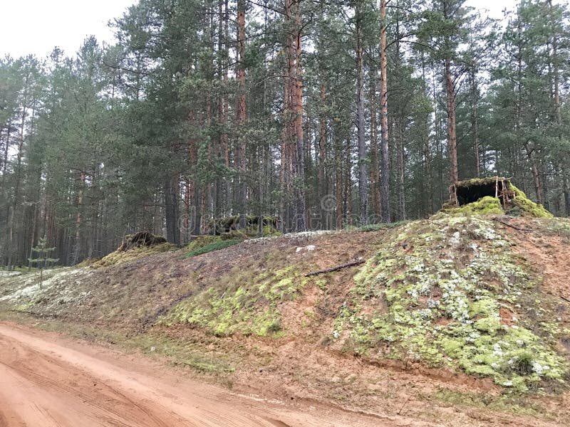 Defensive Fortifications in the Pine Forest Military Training Ground ...