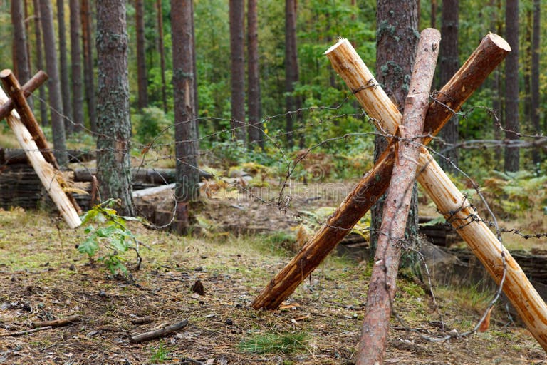 Defensive trench in forest stock photo. Image of military - 11308688