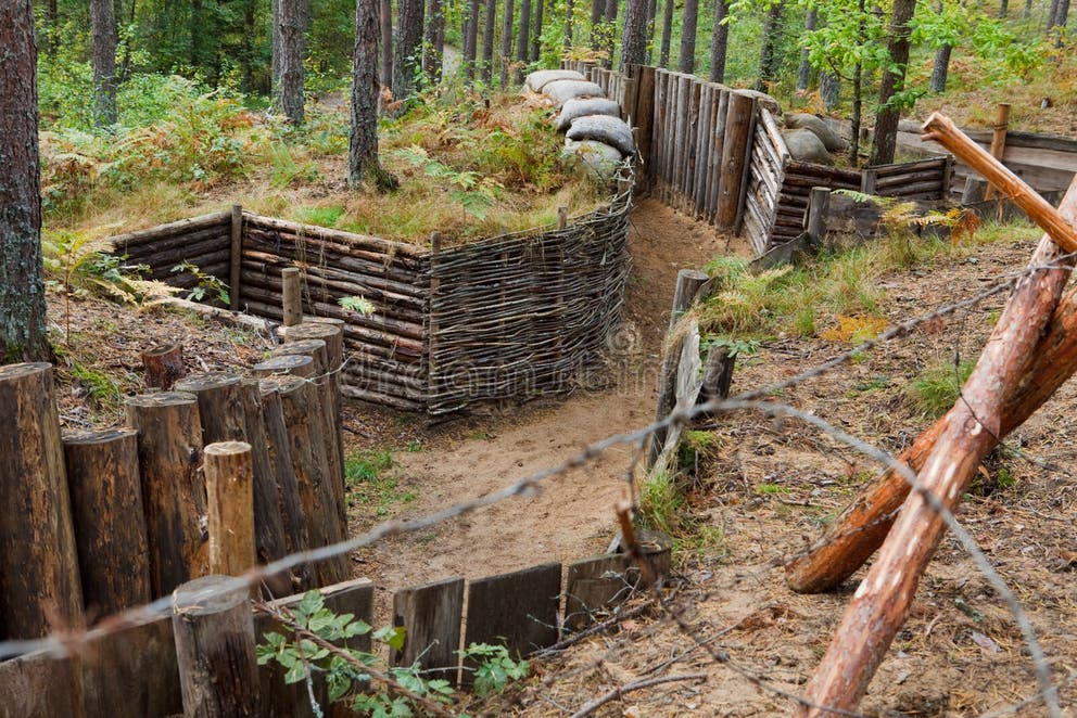 Defensive trench in forest stock image. Image of protection - 11308789