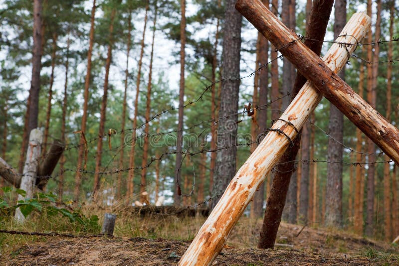 Defensive trench in forest stock image. Image of protection - 11308793