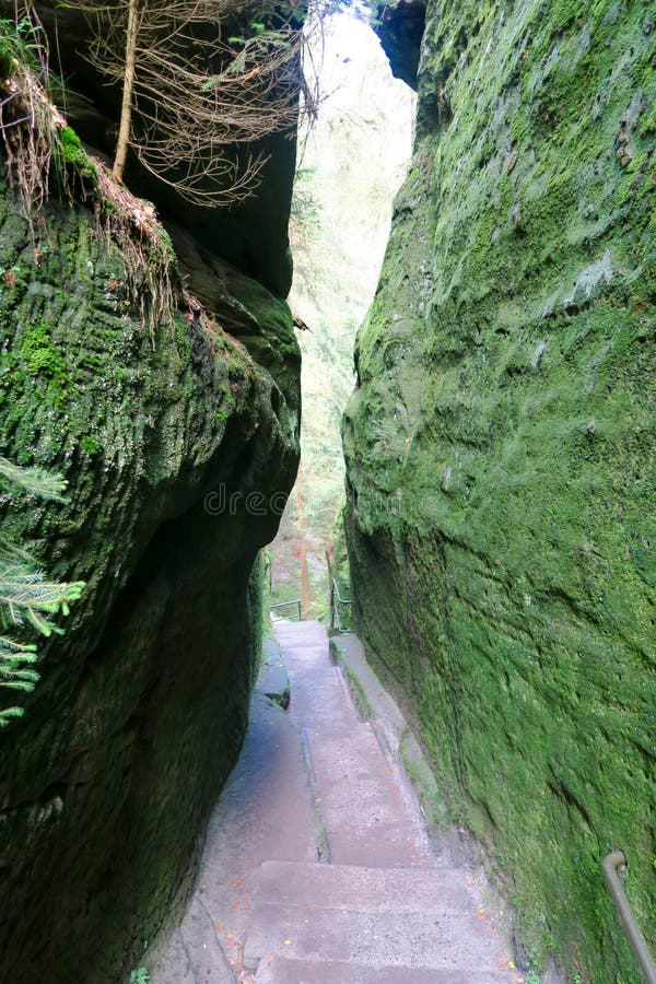 Defile stock photo. Image of cliffs, rocks, trees, hike - 64678644