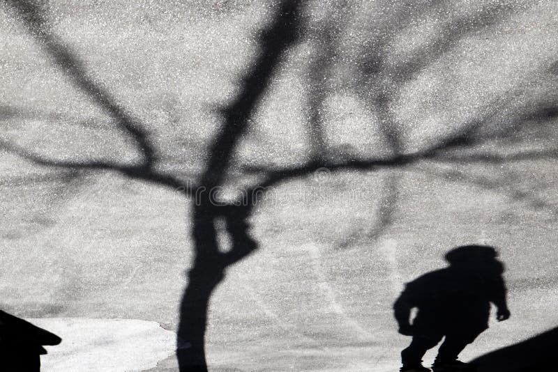 Defocus Silhouette Shadow of a Young Person Under a Bare Tree Stock ...