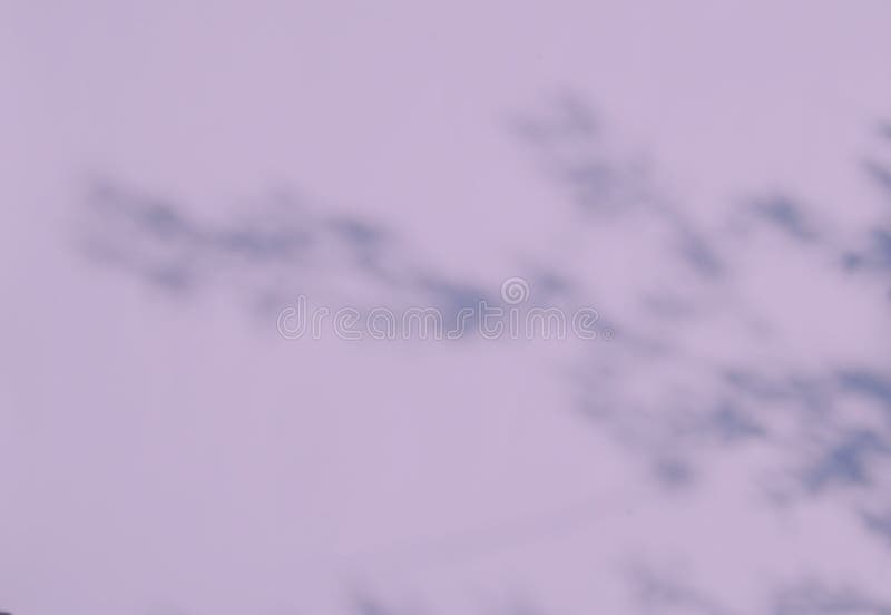 Defocused Abstract Shadows on Violet Background. Stock Photo - Image of ...