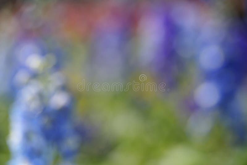 Defocused Colorful Abstract Background. Stock Image - Image of beauty ...