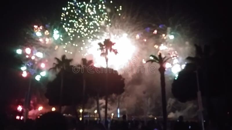 Defocused Explosion of Firework Above Palm and Stock Footage - Video of ...