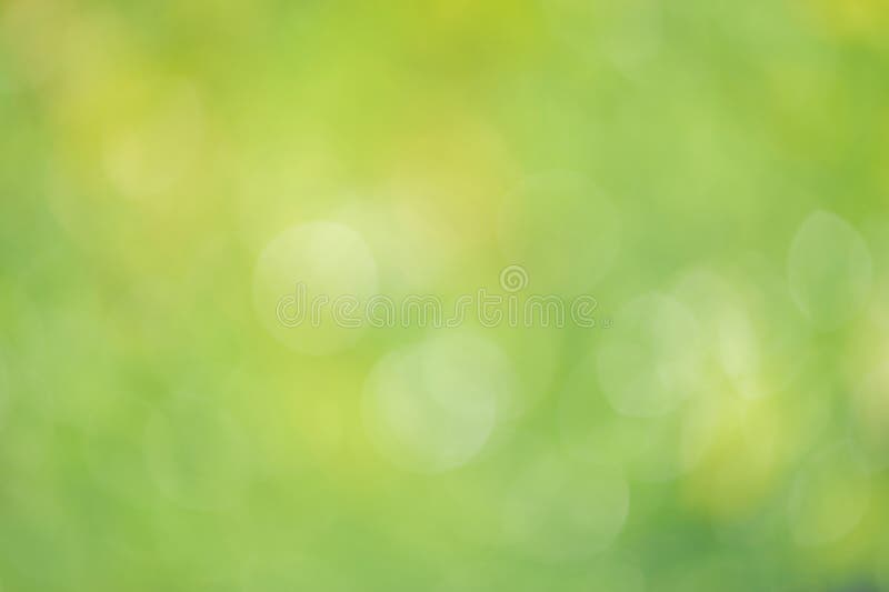 Defocused Green Background with Bright Defocus Lights. Bokeh, Abstract ...