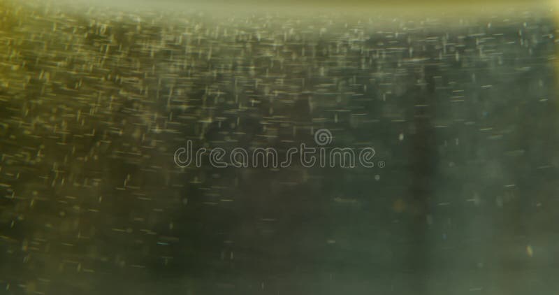 Defocused Mix Particle Light Dust Diffusion Liquid Stock Image - Image ...
