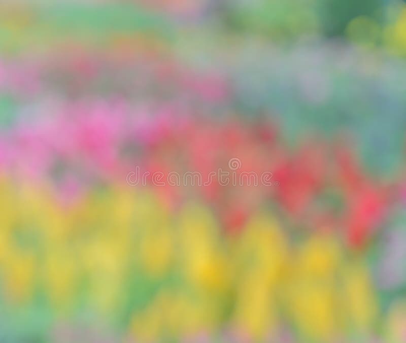Defocused Nature Lights Background Stock Image - Image of bright ...