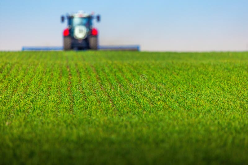 Supports Germination Stock Photos - Free & Royalty-Free Stock Photos ...