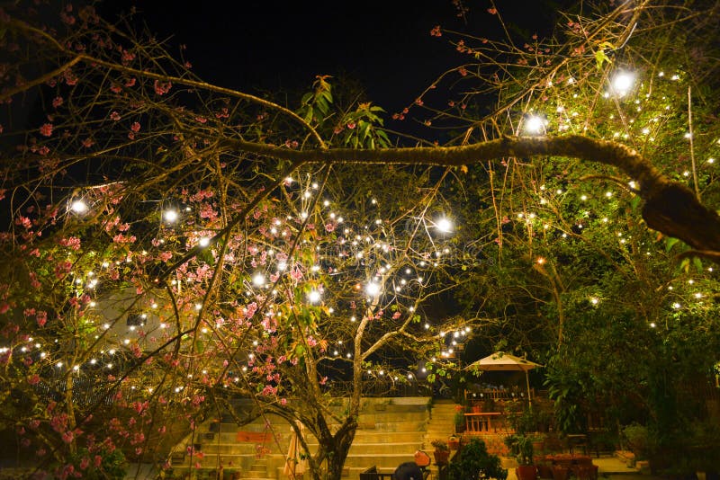 Xmas. Christmas Decorations , Balls and Other Decorations in Denmark ...