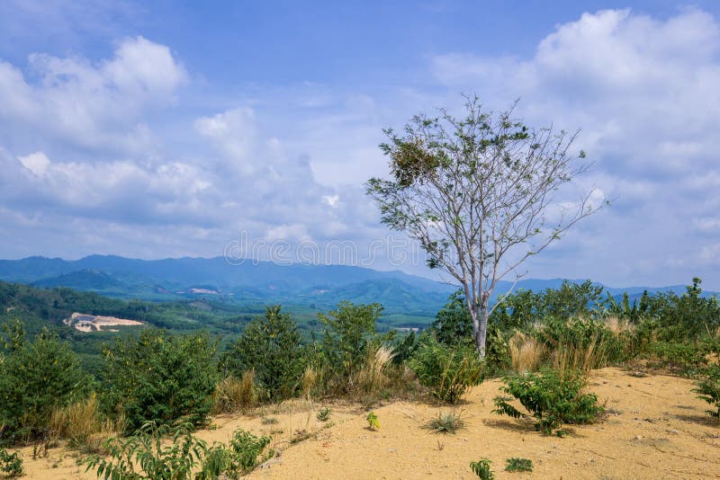 Defoliation stock image. Image of lake, photos, clear - 16744991