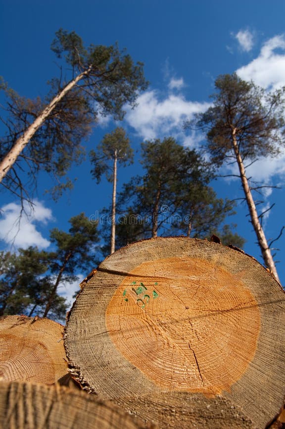 869 Deforestation Vertical Stock Photos - Free & Royalty-Free Stock ...