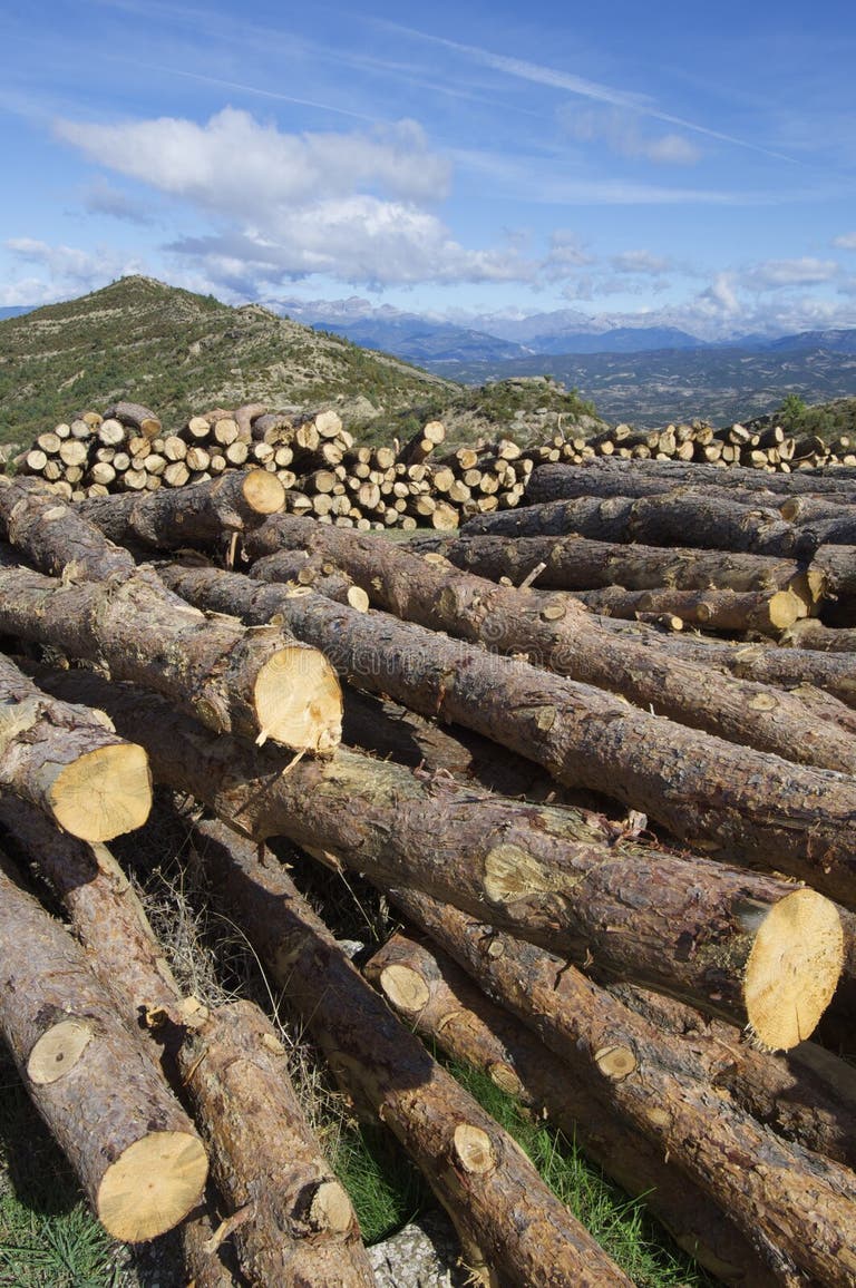 722 Deforestation Vertical Stock Photos - Free & Royalty-Free Stock ...