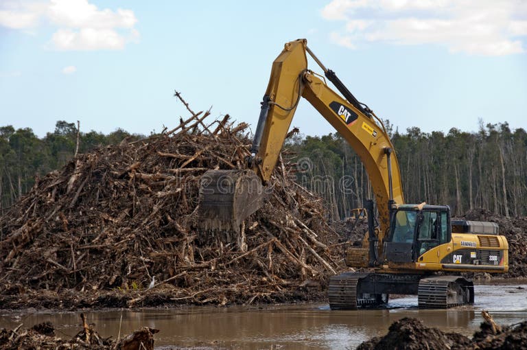 Florida Deforestation Stock Photos - Free & Royalty-Free Stock Photos ...