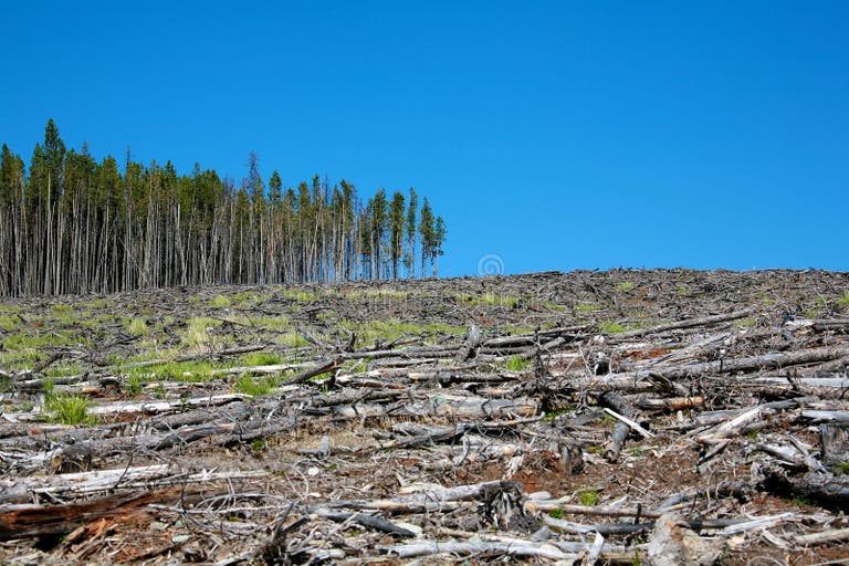 250 British Columbia Deforestation Stock Photos - Free & Royalty-Free ...