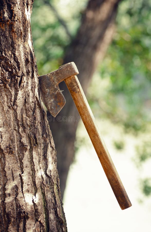 Deforestation stock image. Image of vertical, tool, lumber - 26019085