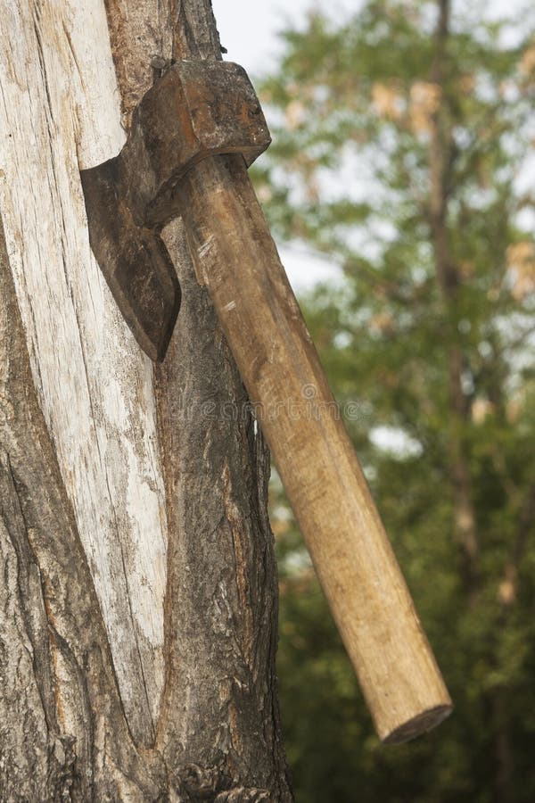 Deforestation stock photo. Image of forest, nature, tool - 26117874