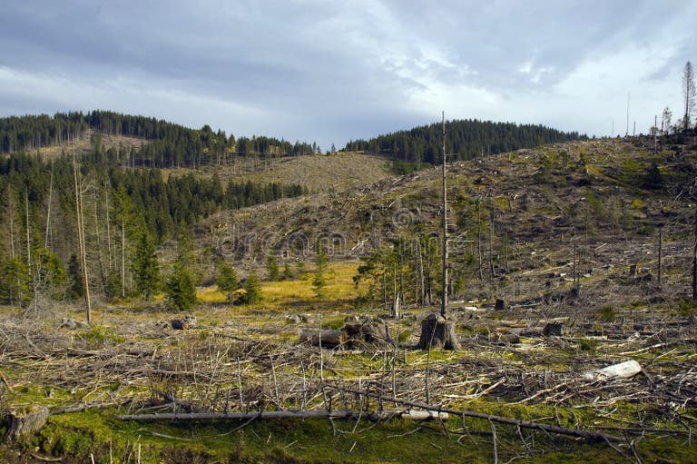 2,016 Deforestation Paper Stock Photos - Free & Royalty-Free Stock ...