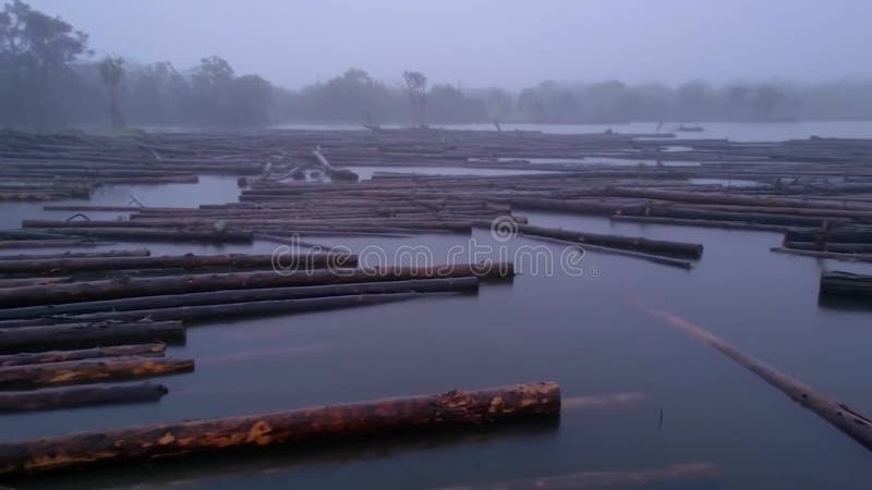 Deforestation in the Amazon Rainforest Stock Footage - Video of ...