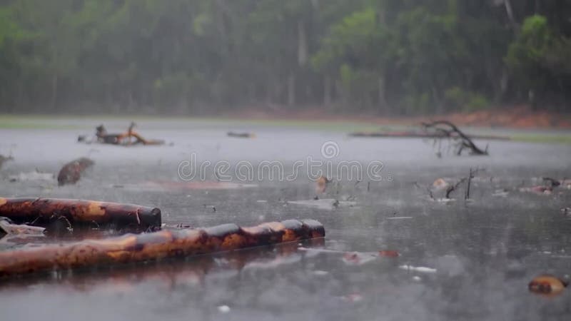 Deforestation in the Amazon Rainforest Stock Footage - Video of ...