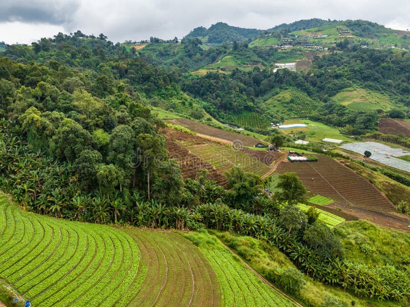 Deforestation are the Anthropogenic Source of Atmospheric Carbon ...