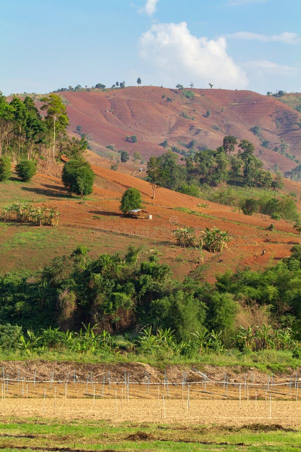 Deforestation are the Anthropogenic Source of Atmospheric Carbon ...