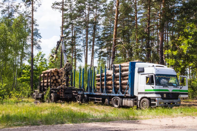 Deforestation and Automated Loading Onto a Truck Vehicle Stock Image ...