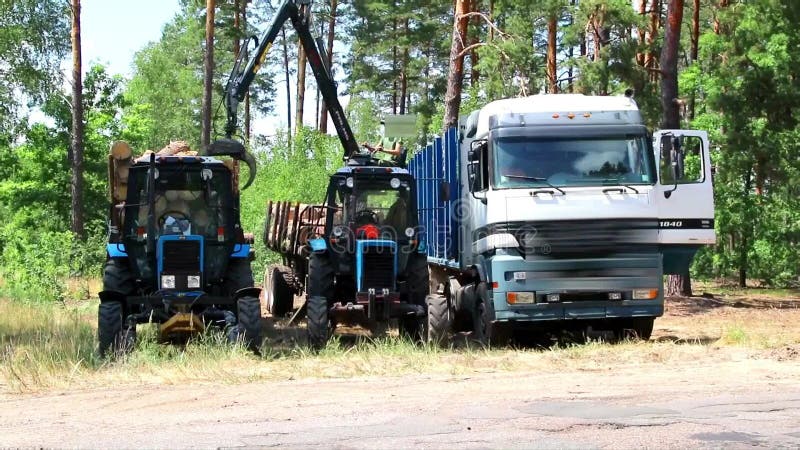 Deforestation and Automated Loading Onto a Truck Vehicle Stock Footage ...