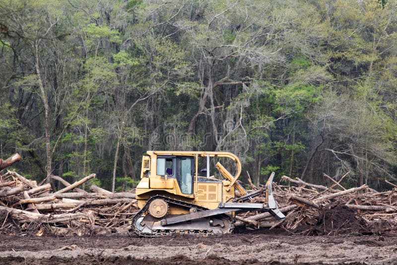 Deforestation Stock Photo - Image: 52380505
