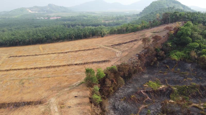 Deforestation of Burning and Land Clear Stock Video - Video of ...