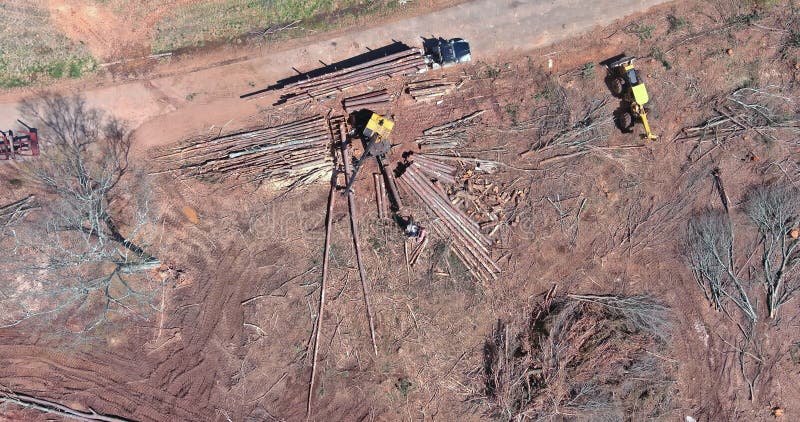 During Deforestation Clearing the Ground from Trees Using a Crawler ...