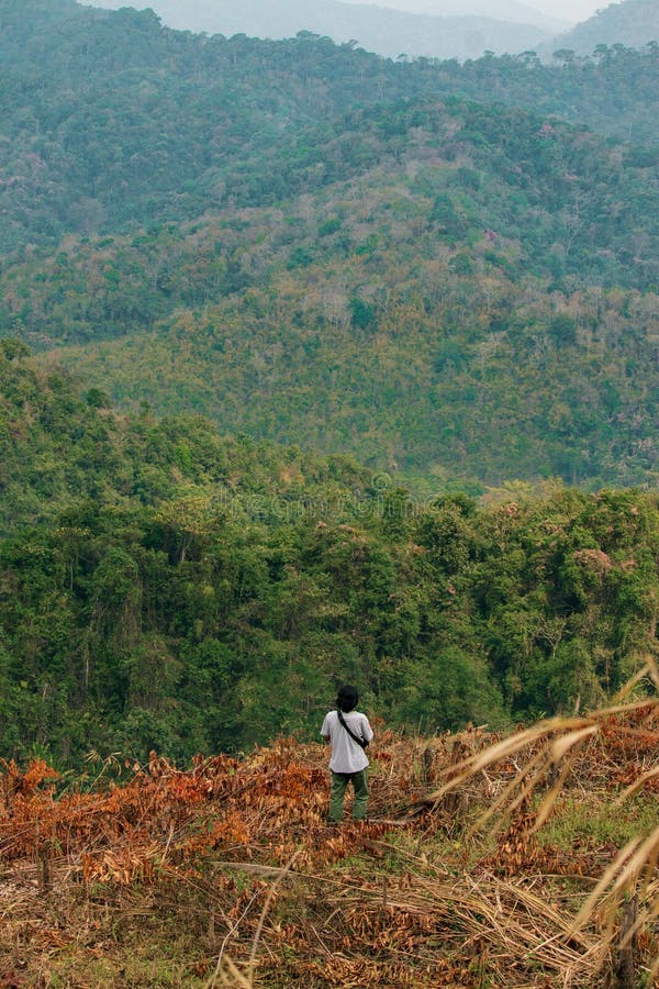 Deforestation Concept Image Consisting of an Unrecognizable Man Walking ...