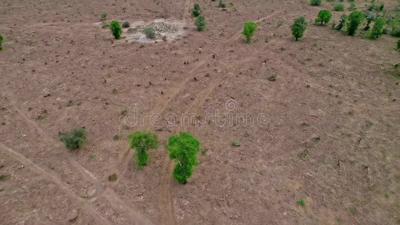 Deforestation Creates Barren Landscape with Dirt Roads Stock Video ...