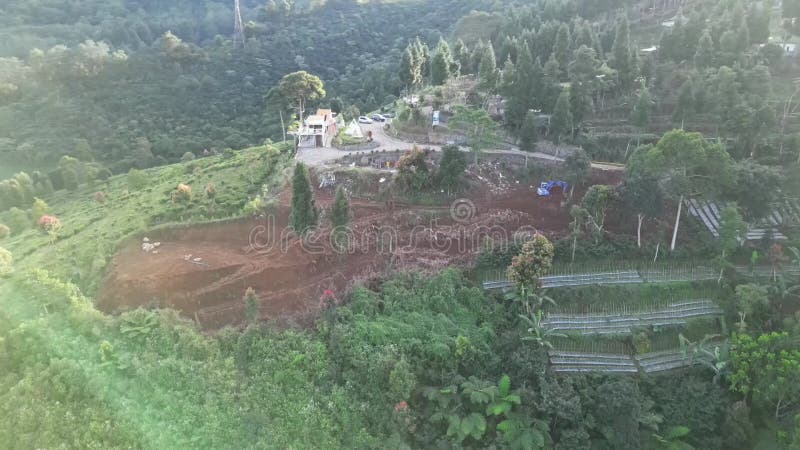 Deforestation stock video. Video of cutting, bogor, green - 284753991