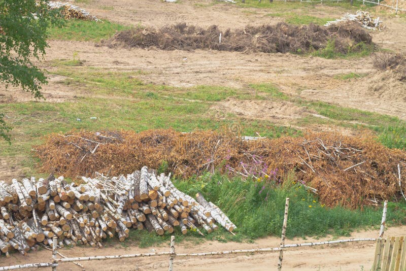 Deforestation and Deforesting for the Construction of a House on a ...