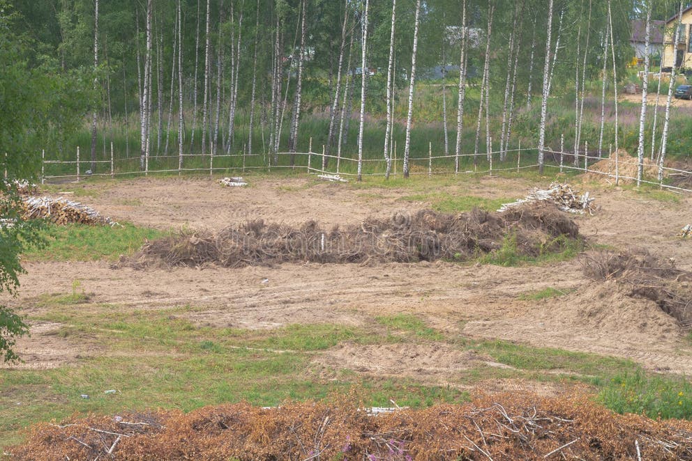 Deforestation and Deforesting for the Construction of a House on a ...